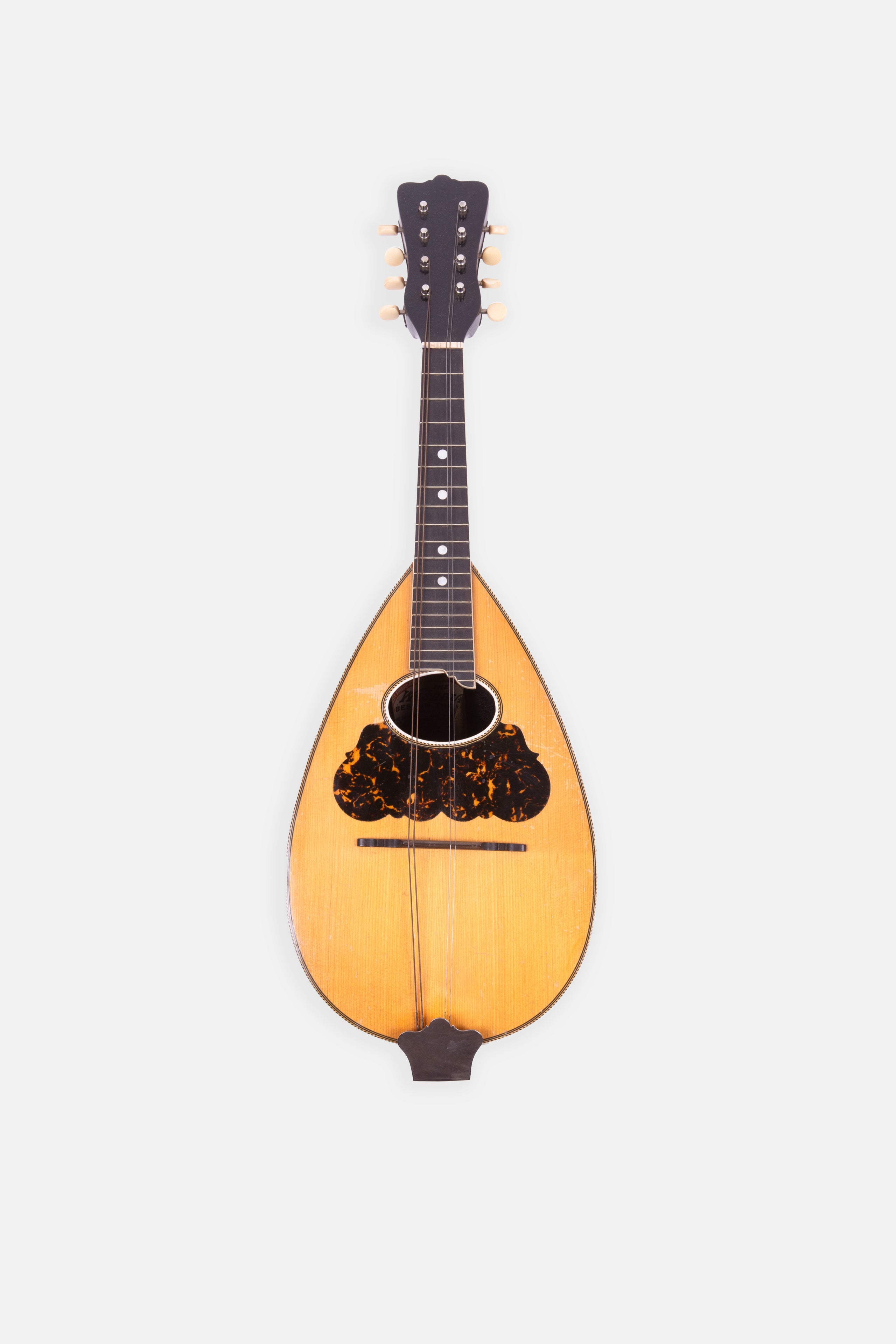 Washburn Bowlback Taterbug Chili Dipper Mandolin | C. BIRD